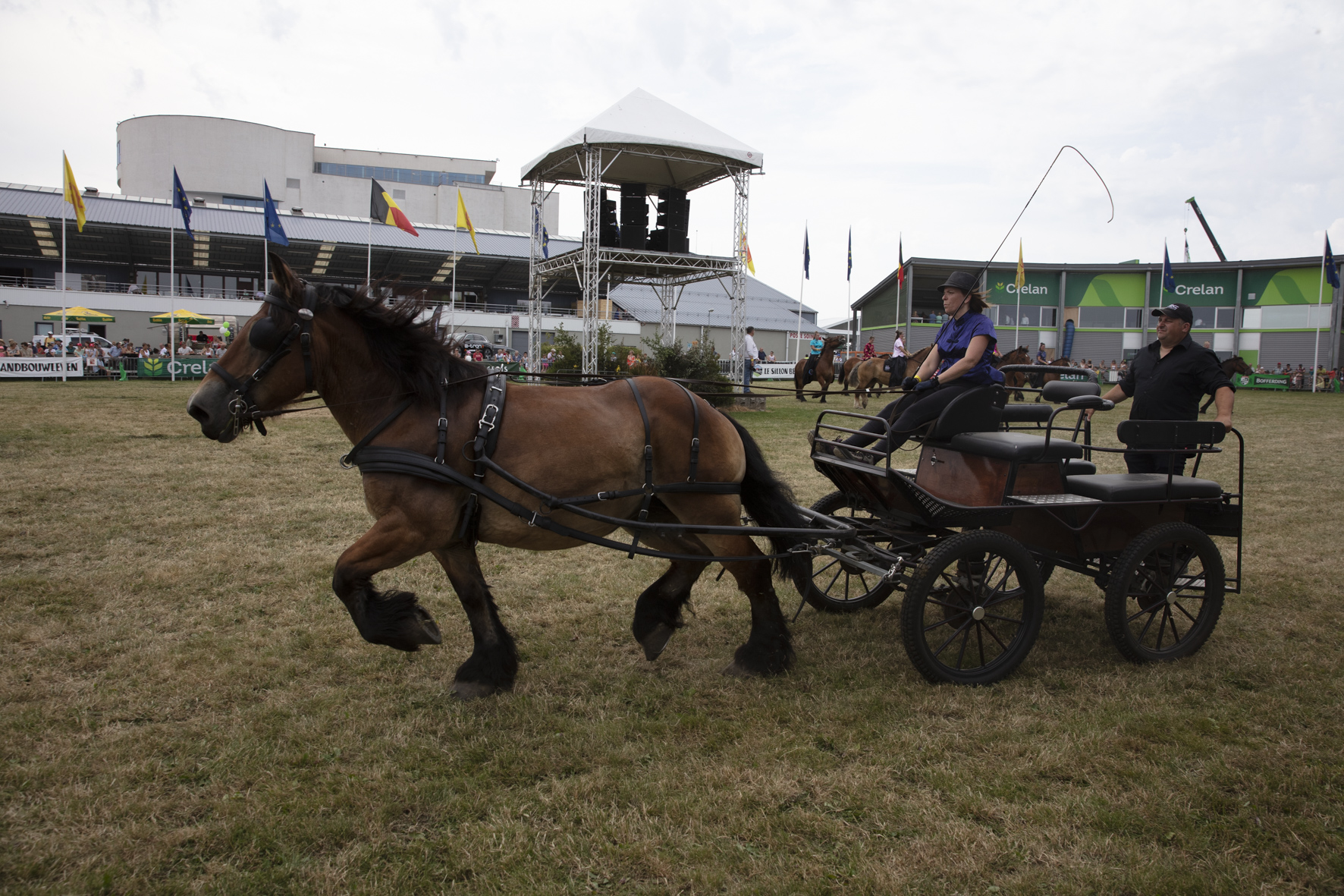 🎥Le micro journal de la Foire de Libramont du dimanche - Libramont Fair