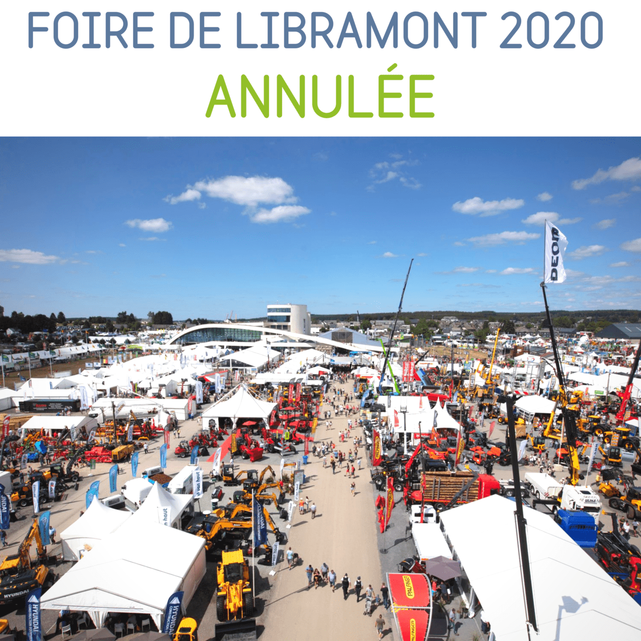 Bilan positif pour la 88ème Foire de Libramont : cap sur 2025 ...